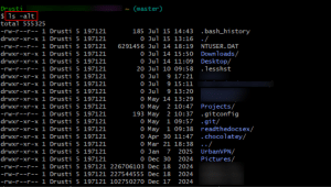 How to Use the Ls Command in Linux | Kamatera