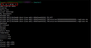 How to Use the Ls Command in Linux | Kamatera